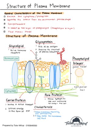 Form 4 Biology Module - Afterkelas