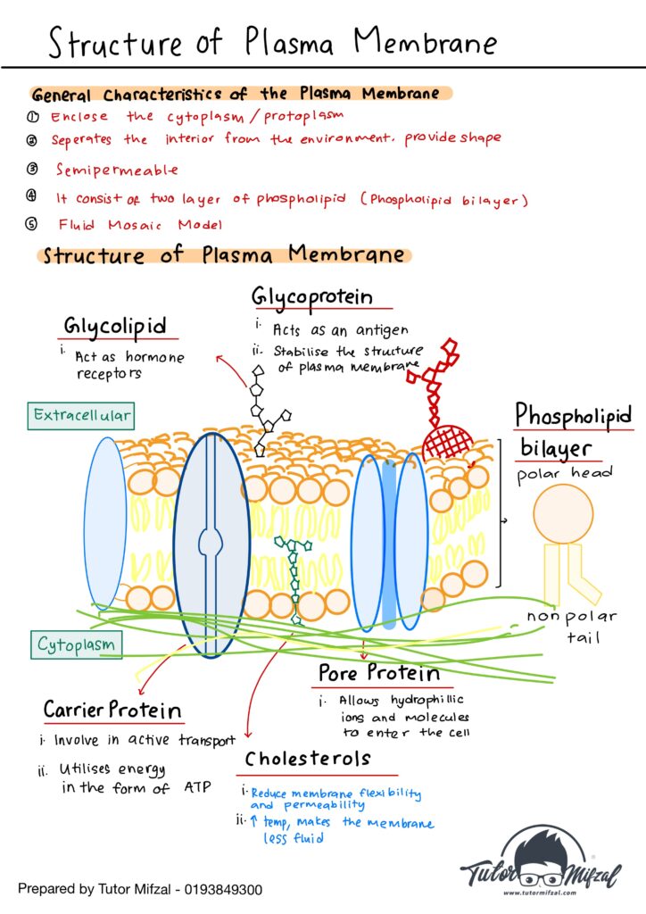 Form 4 Biology Module - Afterkelas